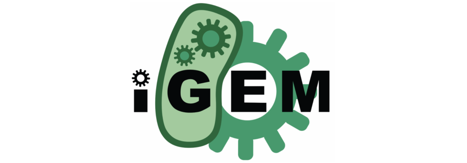Volunteering for iGEM 2024 – Eason's Experiments